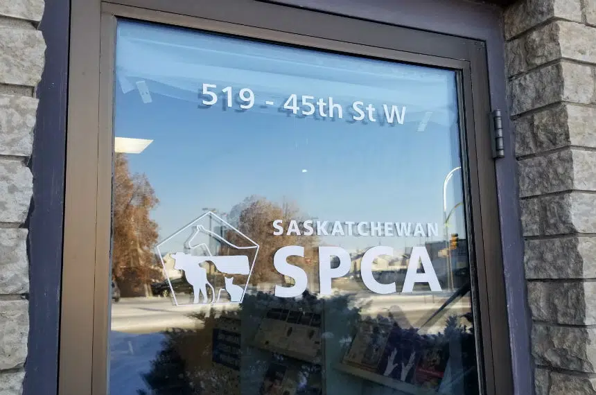Sask. SPCA issues call for donations amid cold snap | 650 CKOM