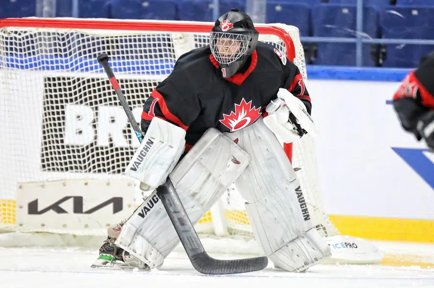 A really amazing experience’: Sask. ringette player returns from ...