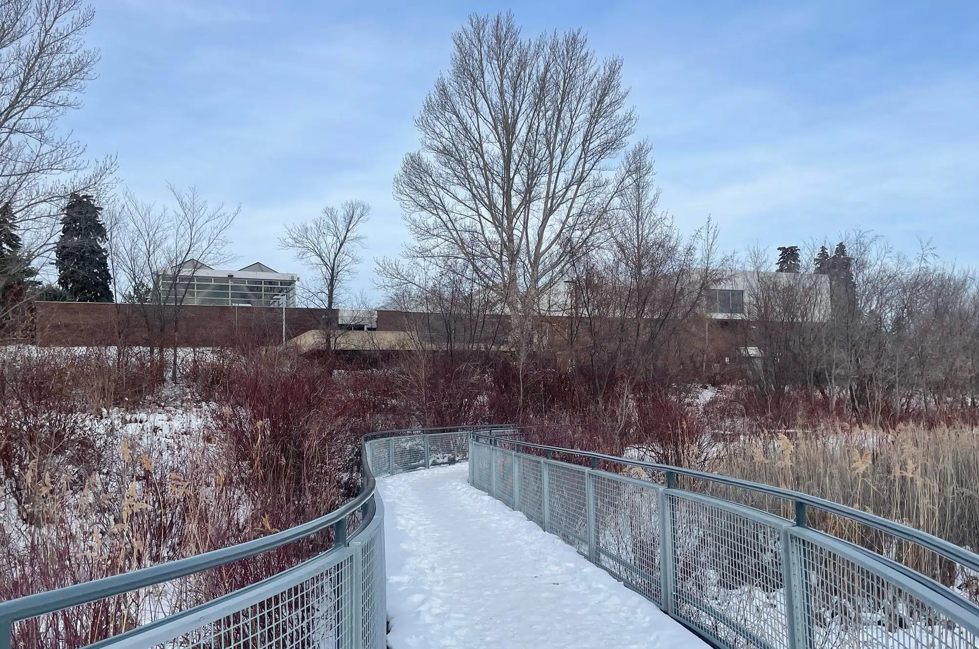 Meewasin Trail open to public after enhancements finished | 650 CKOM