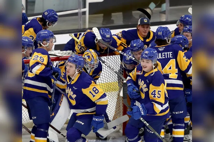 Sidorov’s OT goal lifts Blades to victory in Calgary | 980 CJME