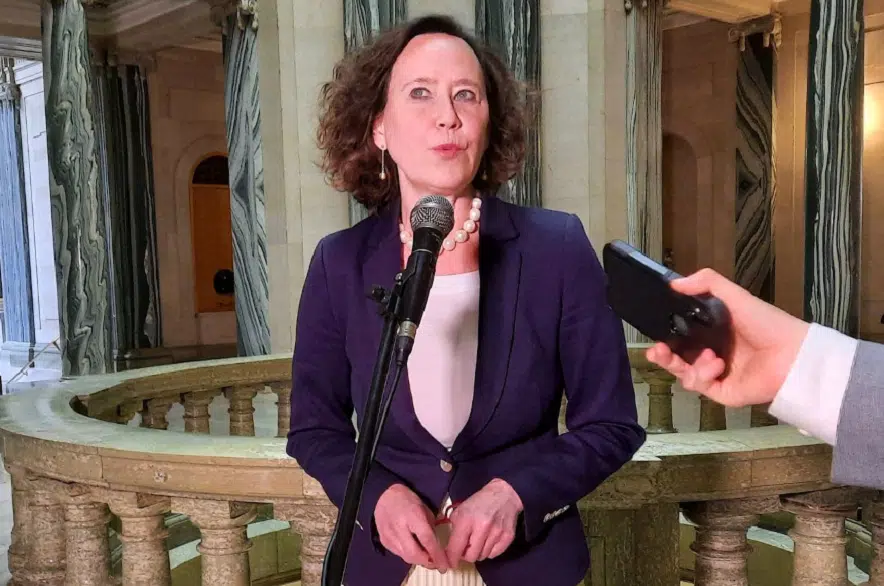 Sask., Alta. governments challenging ‘toxic’ label on single-use ...