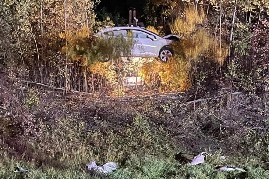 Car ends up 100 feet in bush after highway crash near P.A. | 980 CJME
