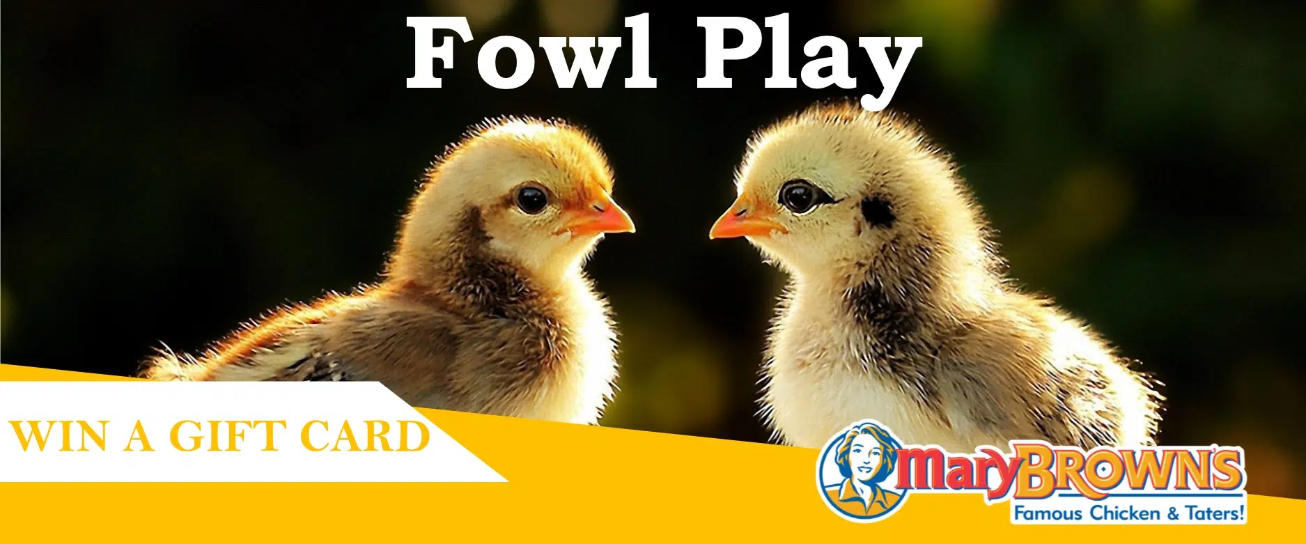 Fowl Play | BIG105.fm