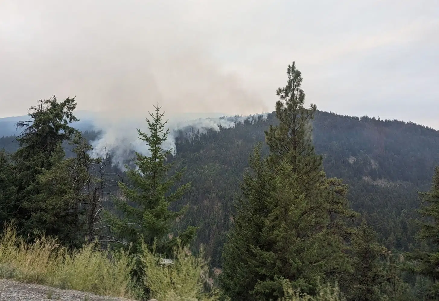 Rain, cooler weather could bring relief to B.C. wildfire crews as new ...