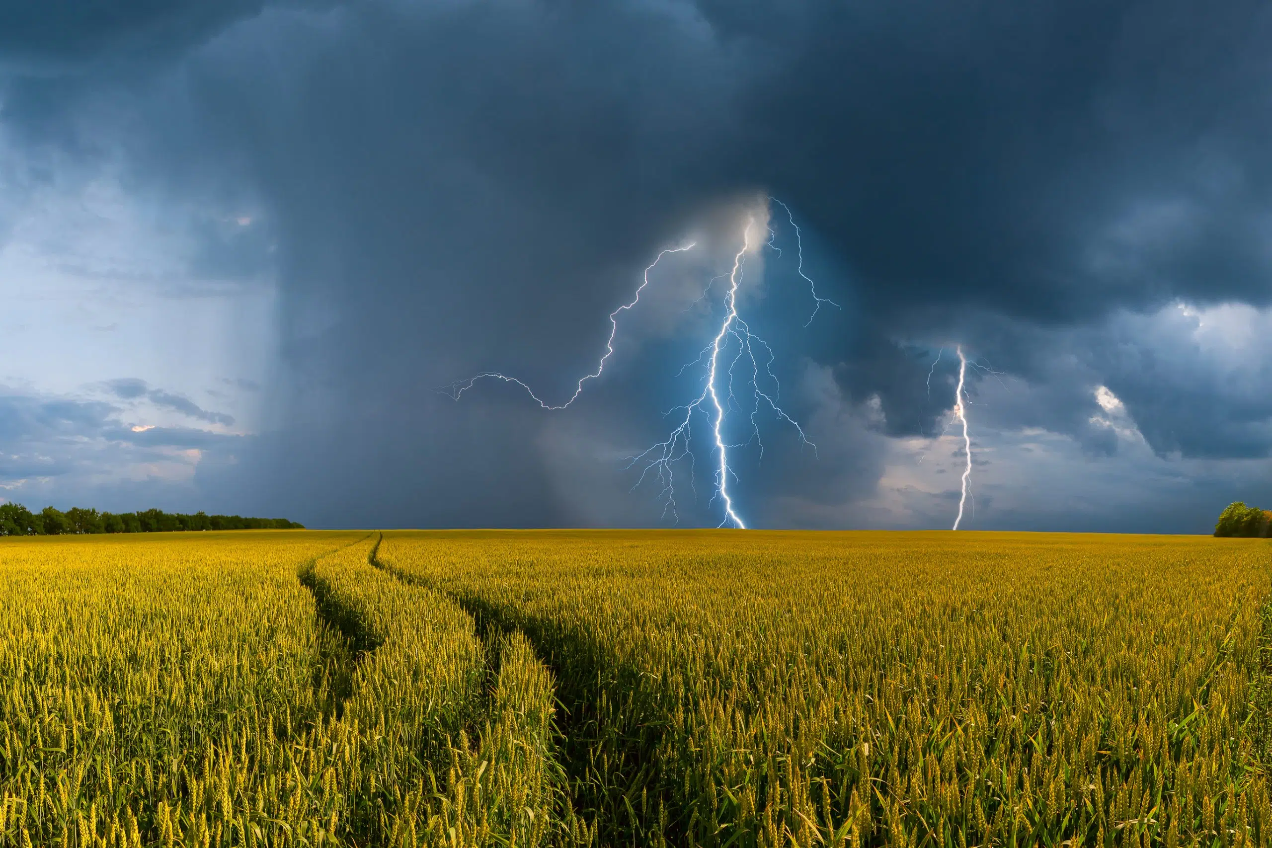 Severe thunderstorm watch issued for Drayton Valley and Brazeau County ...