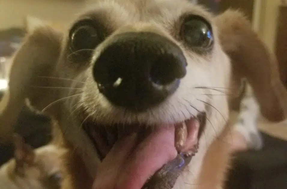 NEWS & SPORTS FOR JUNE 29 | 840 CFCW AM