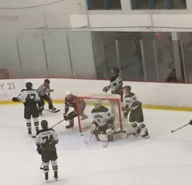 SATURDAY SPORTS – Men’s Hockey Panthers Eliminated | Ocean 100 ...