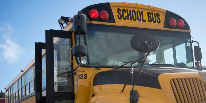 City Wide Adding 35 School Buses to Fleet | VOCM