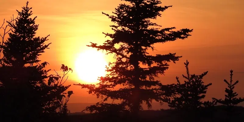 Hot and Humid Weather On Tap for Entire Province | VOCM