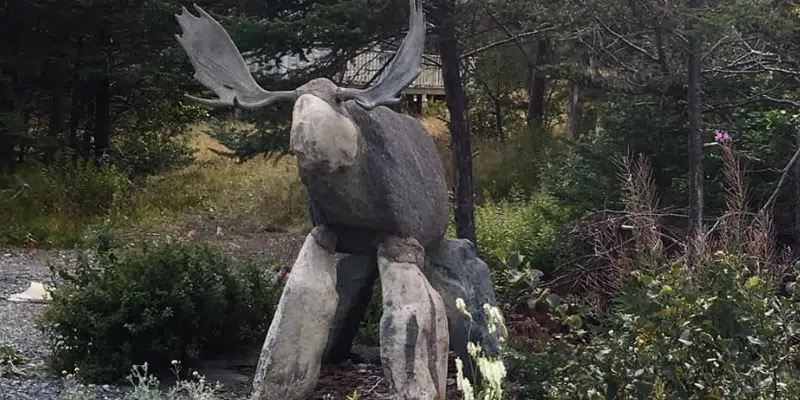 Moose Statue Built From Rocks Attracting Attention in Trinity Bay | VOCM