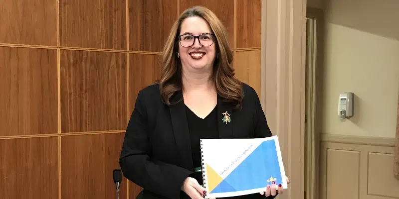 Move Towards Regionalization Expected to Take Several Years: MNL | VOCM