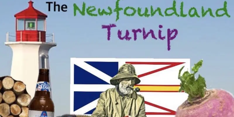 Newfoundland Turnip Bringing the Homegrown Memes to Over 160,000 People ...