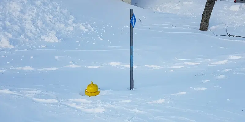 Young Duo Hailed as ‘Unsung Heroes’ for Starting Wave of Hydrant ...