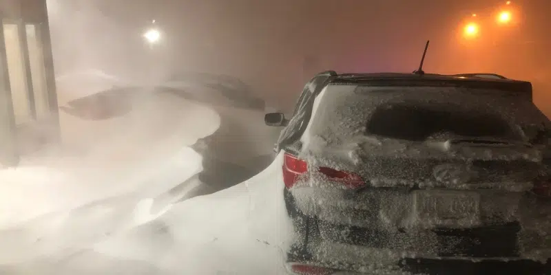 Winds Pick Up as Metro Region Bears Brunt of Intense Storm | VOCM