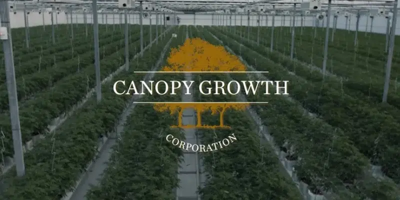 Canopy Growth Temporarily Shutting Down Corporate-Owned Stores | VOCM