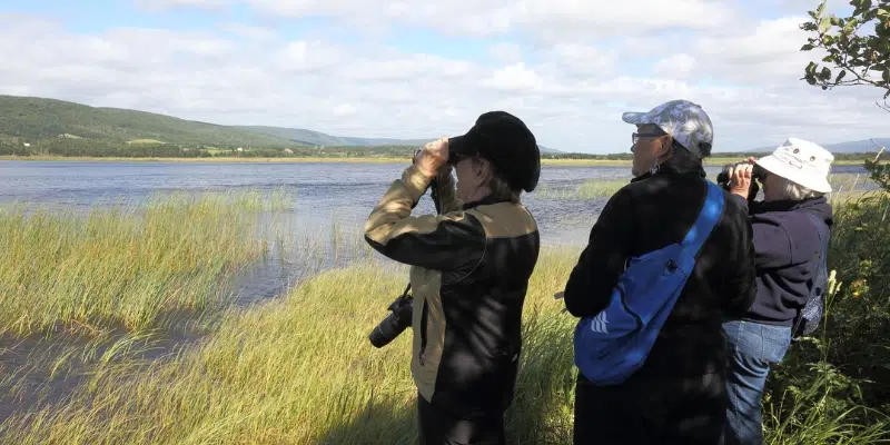 Nature Conservancy Purchases 19 Hectares of Land in Grand Codroy ...