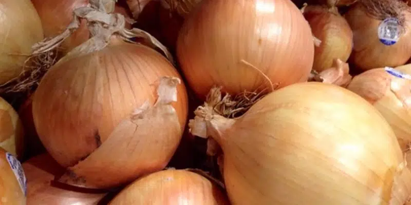 Several brands of Onions Recalled due to Possible Salmonella ...
