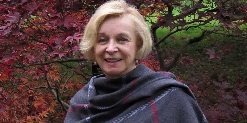 Province Unveils Roster for Economic Recovery Team Chaired by Moya ...