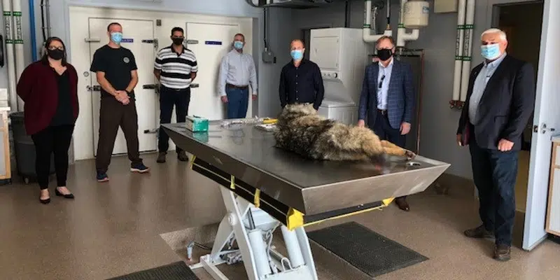 State of the Art Wildlife Lab Opens in Pasadena | VOCM