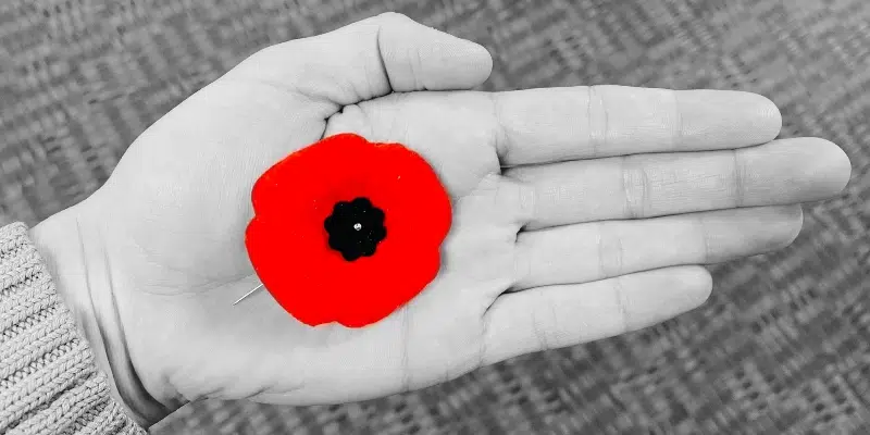 Annual Poppy Campaign Important to Veterans says Royal Canadian Legion ...