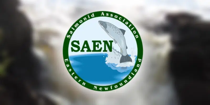SAEN Challenges Local Aquaculture Industry to Invest in Long-Term Study ...