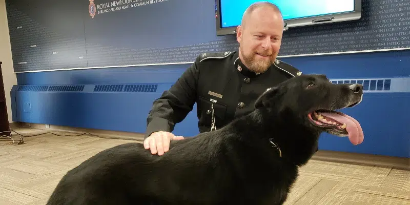 RNC Dog Retires After Seven Years of Service | VOCM