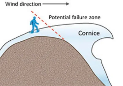 Rovers Search and Rescue Cites Dangers of Fake Ground Along Coastline ...