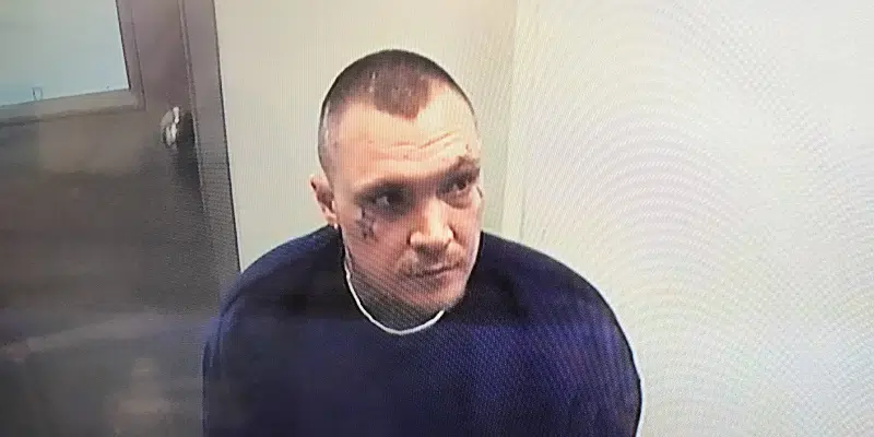 Philip Pynn Sentenced for Latest Offence, Outcome of Other Charges ...