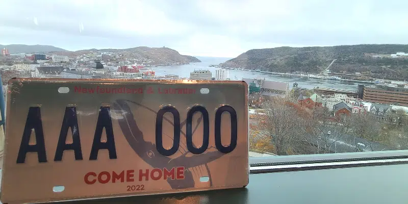 Come Home Year Licence Plates Now Available | VOCM