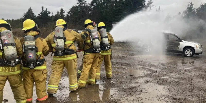 Fifth Group of High School Students Complete Marystown’s Junior ...