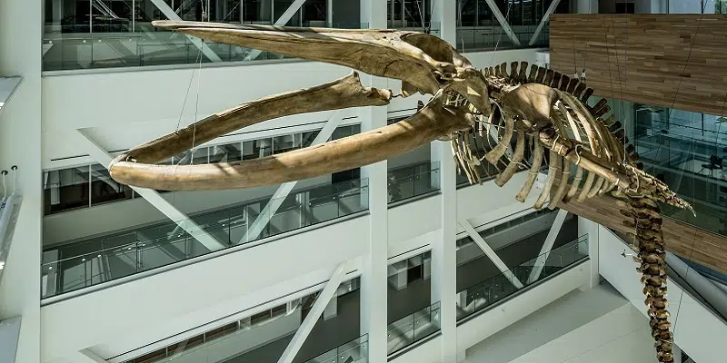 Memorial University Opens New Core Science Building | VOCM