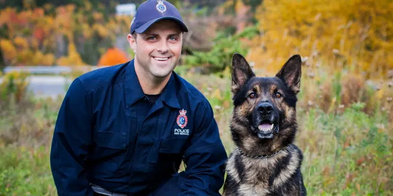 RNC Police Dog Tracks Down Robbery Suspect in St. John’s | VOCM