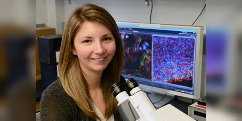 New Stem Cell Researcher a “Game Changer” for MUN Research Team | VOCM