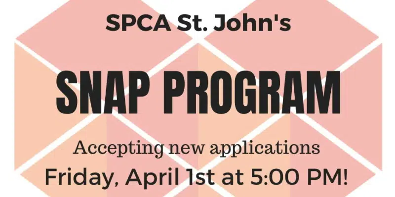 SPCA Preparing to Reopen SNAP Program Application Process | VOCM