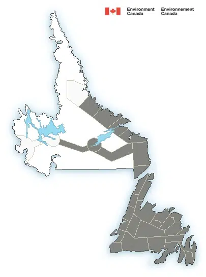 Special Weather Statements Issued for Entire Island | VOCM