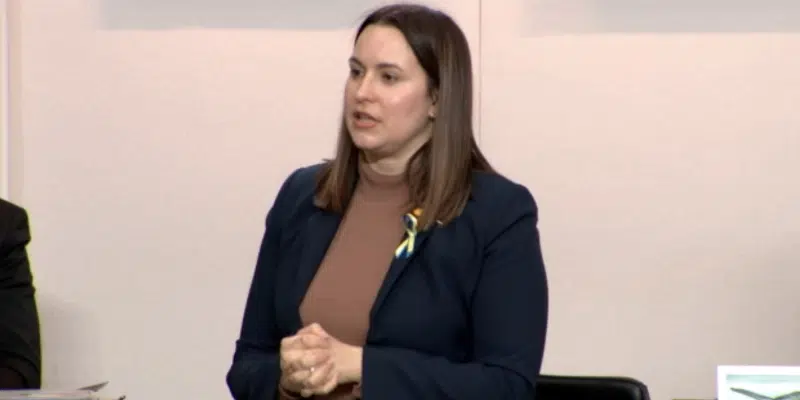 Province Considering MyGovNL Service Provider Following Disruption | VOCM