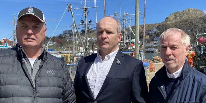 SEA-NL Calling for Inquiry Into Fishing Vessel Safety | VOCM
