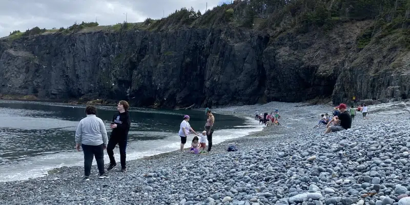 Hundreds Gather at Middle Cove Beach as Capelin Roll In | VOCM