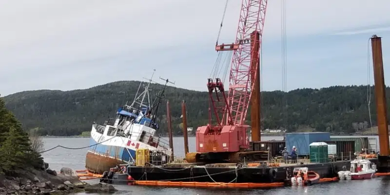 Hamilton Banker Clean-Up Attracting Attention in Colliers | VOCM