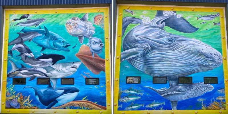 Botwood Unveiling New Mural Today | VOCM