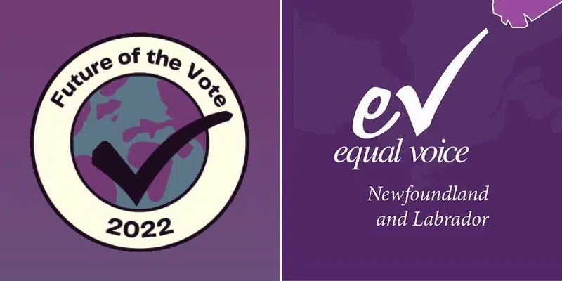 Equal Voice NL Enouraging More Women, Gender-Diverse People Involved in ...