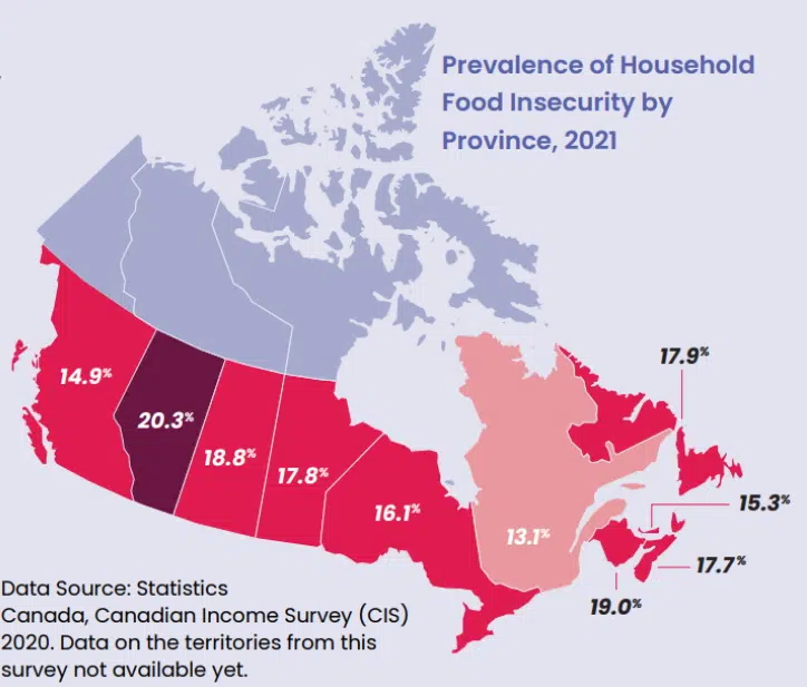 University of Toronto Report Highlights Rates of Food Insecurity Across ...