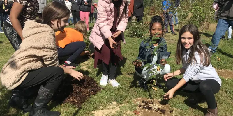 Capital City Celebrates National Tree Day | VOCM