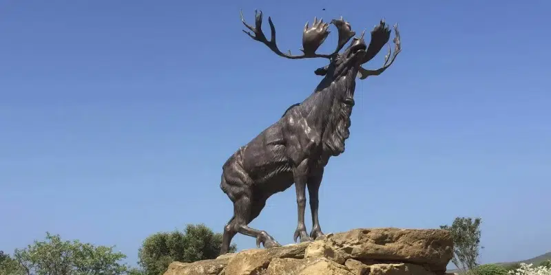 Final Trail of the Caribou Monument Erected in Gallipoli | VOCM