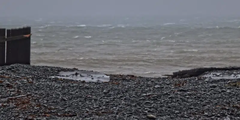 Complete “Devastation” in Trepassey Following Damage From Earl, says ...