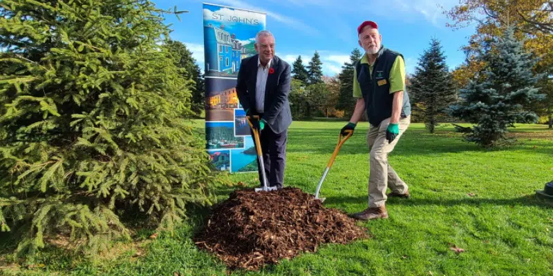 St. John’s Receives Grant to Plant 100 Trees | VOCM