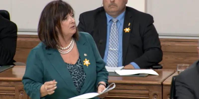 Opposition Questions Women and Gender Equality Minister on Funding to ...