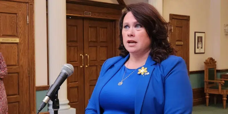 Provincial Budget Does a Good Job of Addressing Gender-Based Violence ...