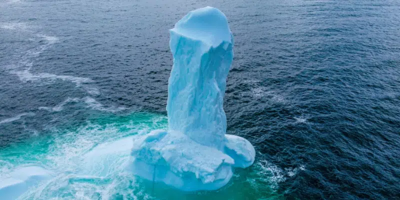 ‘Dicky Berg’ Exposes NL to Worldwide Attention | VOCM