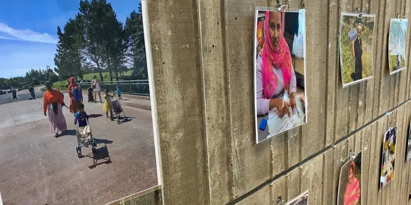 St. John’s Opens Photo Gallery on Newcomer Experiences | VOCM